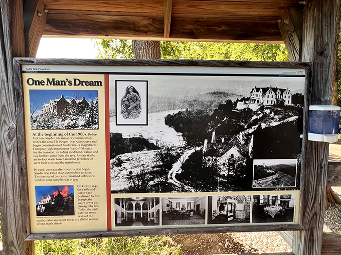 Historical displays tell the castle's story, because every good ruin deserves its dramatic backstory explained properly.