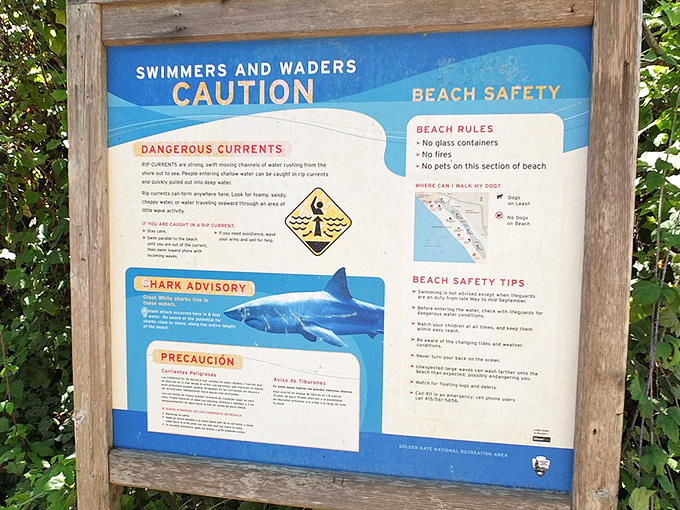 A friendly reminder that Mother Nature doesn't always play nice. The ocean gives, but sometimes it takes away too.