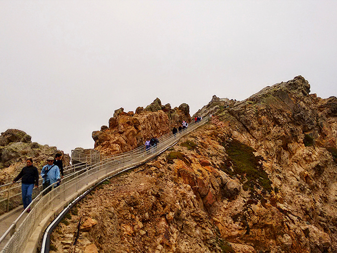 The path to the lighthouse isn't for the faint of heart &ndash; it's Mother Nature's way of saying "earn that view, my friend."