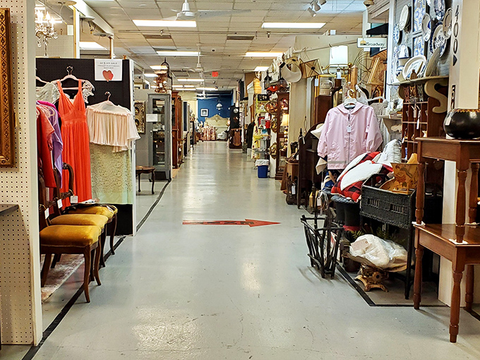 Wander down aisles of possibility where vintage fashion meets timeless furniture. Every step reveals a new potential treasure.