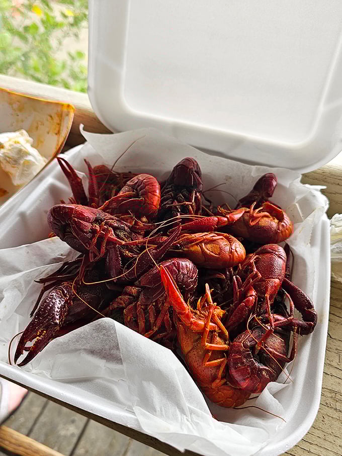 These crawfish aren't just seafood; they're little red ambassadors from the waters of Florida's Nature Coast. 