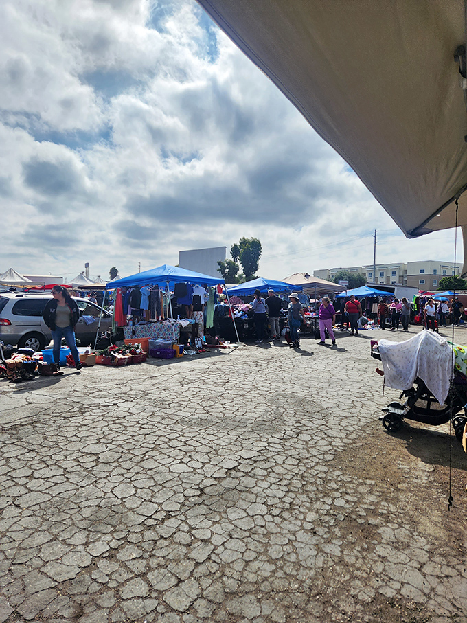 Peak shopping hours bring crowds of determined bargain hunters armed with lists and limitless weekend enthusiasm.
