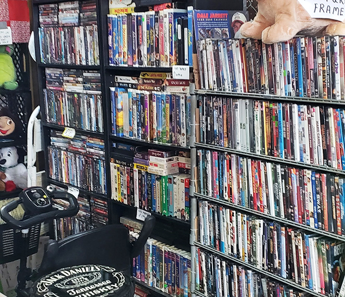 Movie collections span generations of entertainment, from classics to cult favorites waiting for rediscovery adventures.