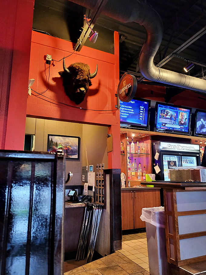 That buffalo head watches over diners like a saucy guardian angel, silently judging those who order their wings "mild" instead of "hot."