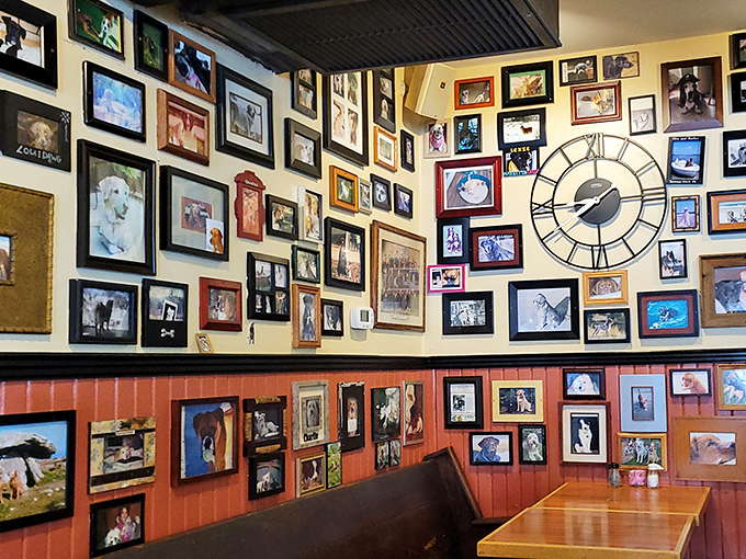 The legendary dog wall where every frame tells a tail&mdash;er, tale. This isn't decoration; it's a community album spanning years of loyal customers.