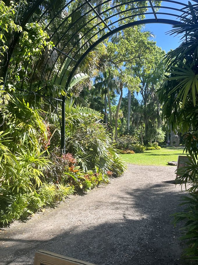 An elegant archway frames the path ahead, nature's version of "this way to wonderland." The garden equivalent of a red carpet entrance.