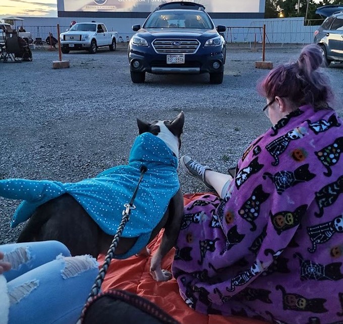 Even four-legged film critics are welcome at this pet-friendly theater, where blankets and comfort are the dress code.