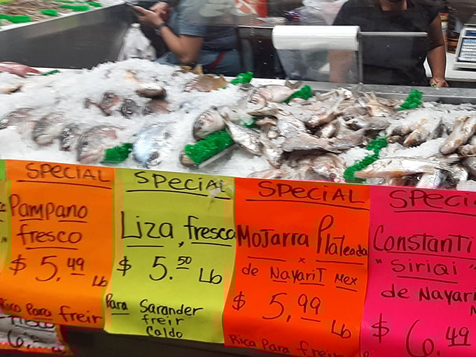 Fresh catch displayed with colorful price signs. Fish so fresh they practically introduce themselves by name and hometown.