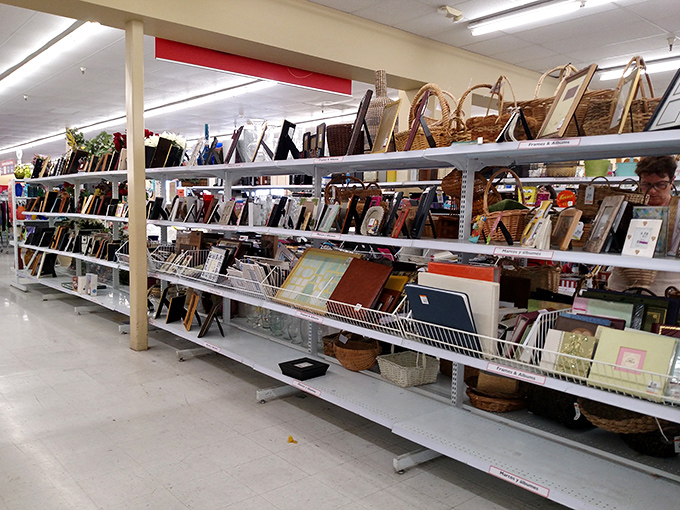 Frame after frame offers the perfect home for memories yet to be displayed, from ornate gold to minimalist modern.