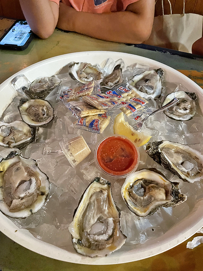 Oysters on the half shell, nature's perfect appetizer. These briny treasures nestled on ice need nothing more than a squeeze of lemon and good company.
