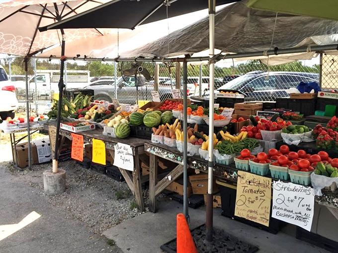 Farm-fresh goodness under Florida skies. These vibrant tomatoes and watermelons didn't travel far to reach your shopping bag.
