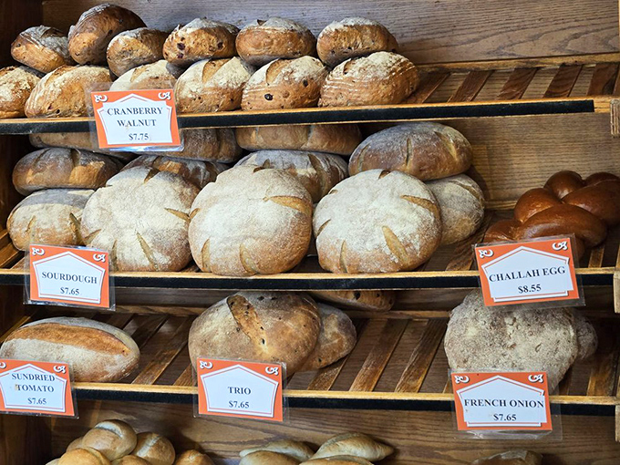 Bread that doesn't just fill your stomach—it feeds your soul. Each loaf tells a story of tradition, craftsmanship, and the perfect crust-to-crumb ratio.