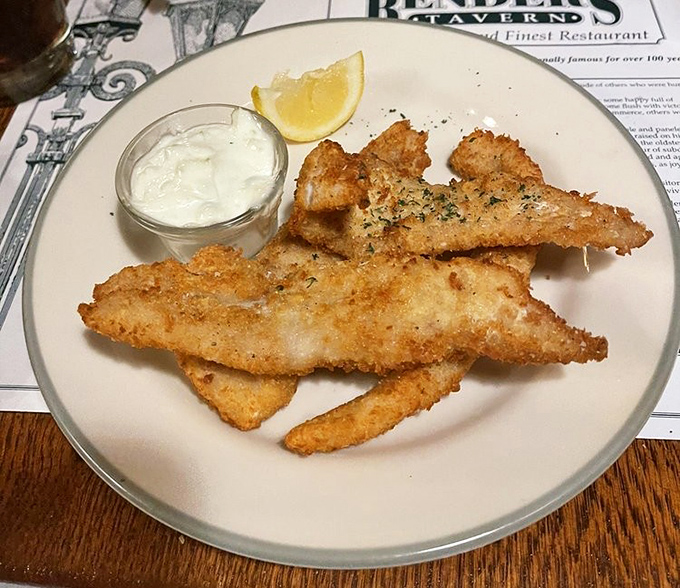 Fried haddock so perfectly crisp it practically sings when your fork breaks through. The accompanying tartar sauce is the perfect dance partner.