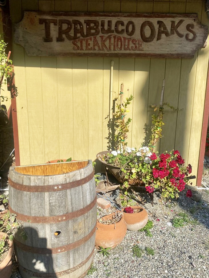 Sun-dappled simplicity outside matches the straightforward philosophy inside: good food, no pretension, and absolutely no neckties.