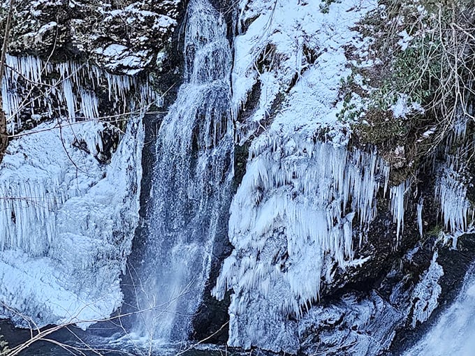 Winter transforms Raymondskill into a frozen fantasy world, where ice sculptures form naturally alongside still-flowing sections of the falls.