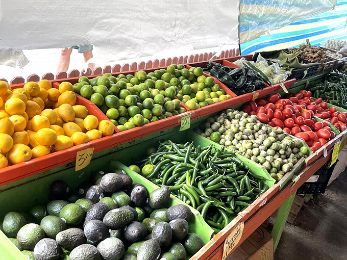 Fresh produce displayed with pride&mdash;Florida's agricultural bounty in vivid technicolor. Avocados, limes, and tomatoes that actually taste like tomatoes should.