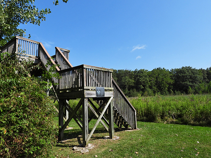 Aerial perspective reveals Celina's perfect blend of historic charm and natural lake beauty.