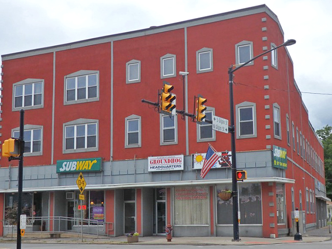 Groundhog Headquarters anchors downtown with the seriousness of purpose you'd expect from an organization dedicated to rodent-based weather forecasting.