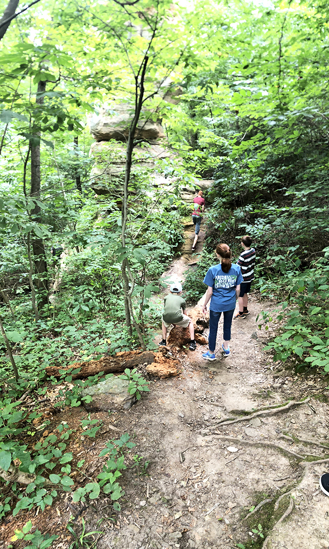 Group hikes transform strangers into fellow witnesses of nature's most improbable magic trick performance.