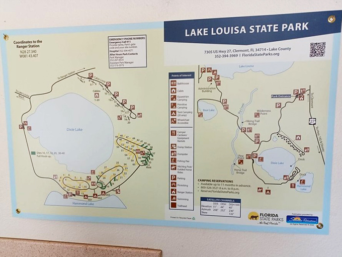 The treasure map to Lake Louisa's hidden gems. Pro tip: the best spots are usually where the trails meet water.