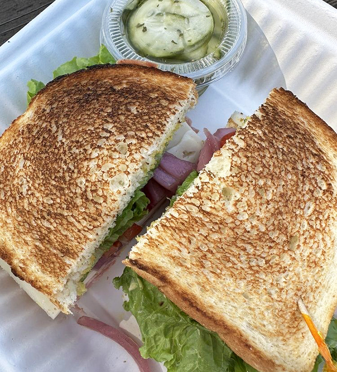 A sandwich so perfectly grilled it deserves its own slow-motion entrance music, complete with lettuce, ham, and what appears to be homemade aioli.