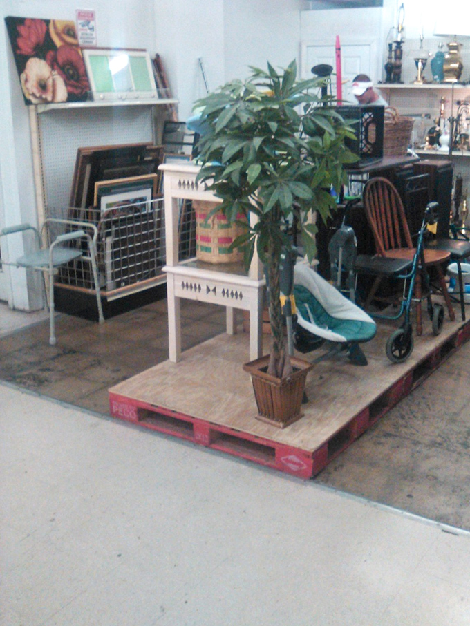 Home décor vignettes arranged like tiny film sets—artificial plants and vintage furniture creating ready-made scenarios for your next domestic production.