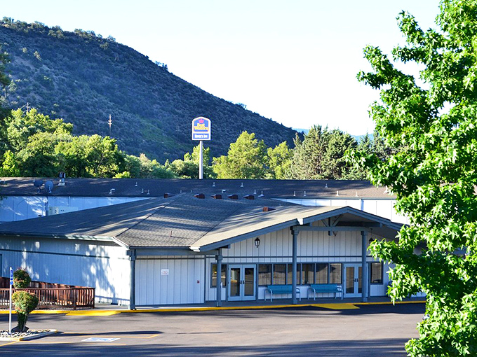 Historic hotels that have welcomed guests since before hospitality became a corporate buzzword and lost soul.