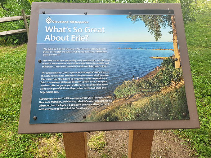 Even the informational signs at Huntington Beach have lakeside views that would make coastal realtors weep with envy.