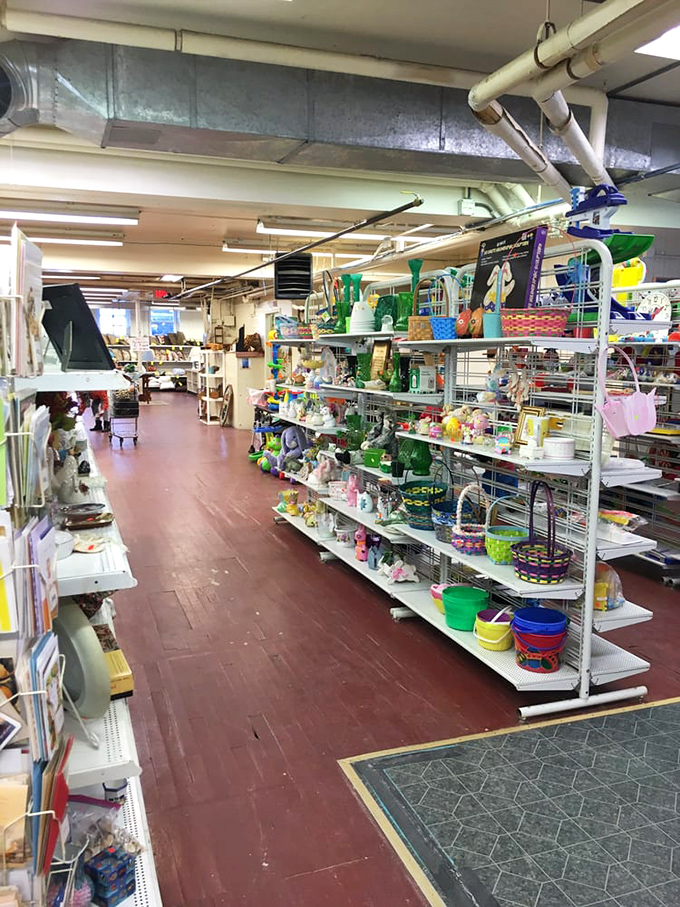 Household essentials organized in colorful displays, proving that practical can also be visually appealing.