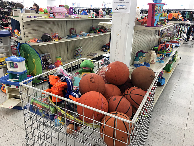 The toy section&mdash;where basketballs and plastic dinosaurs coexist in perfect harmony, waiting for kids who don't mind pre-loved play potential.