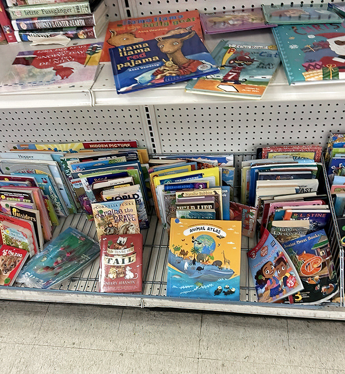 "Llama Llama Red Pajama" shares shelf space with countless adventures. Children's books await new young minds to transport to faraway worlds.