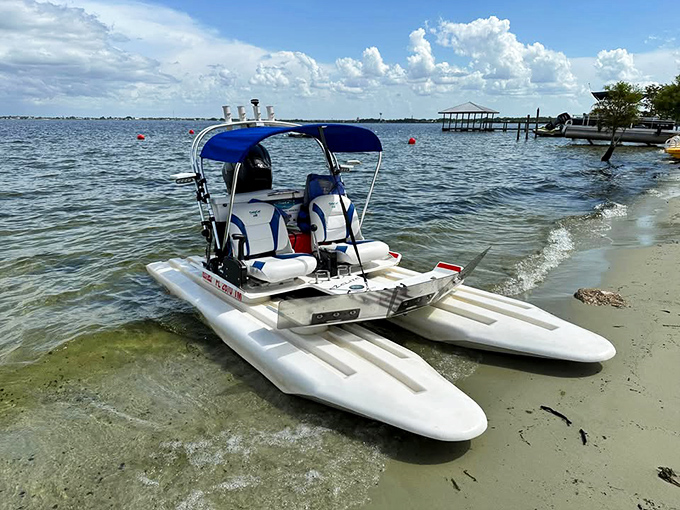This water craft promises lake adventures without breaking the bank &ndash; retirement toys that double as conversation starters.