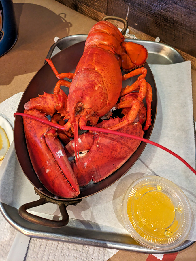 This lobster didn't just arrive on your plate&mdash;it made an entrance. The kind of dish that demands a moment of silent appreciation.