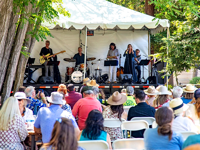 Live music under ancient trees creates the soundtrack for perfect summer evenings, where strangers become friends over shared rhythms.