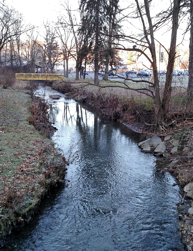 Gentle streams wind through Greensburg's green spaces, creating natural oases throughout the city. Nature and urban convenience coexisting in perfect harmony.