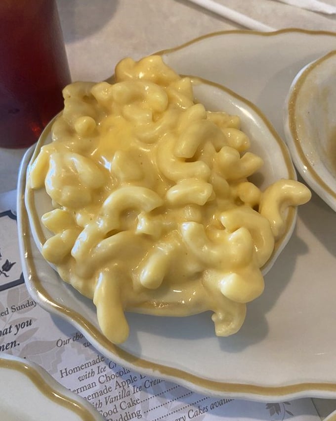 Mac and cheese that would make your childhood self weep with joy. Creamy, dreamy comfort in a bowl that speaks directly to your soul.