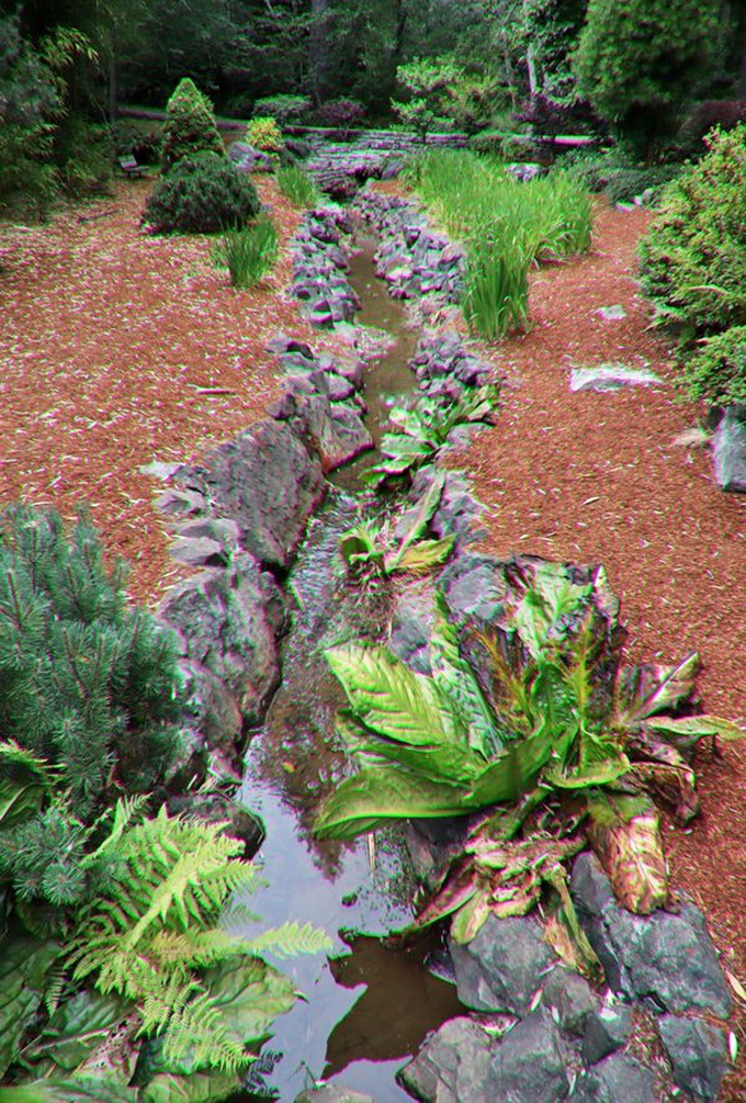 This artfully designed stream in Mingus Park's Japanese Garden creates music with moving water. Proof that sometimes the smallest features make the biggest impression.