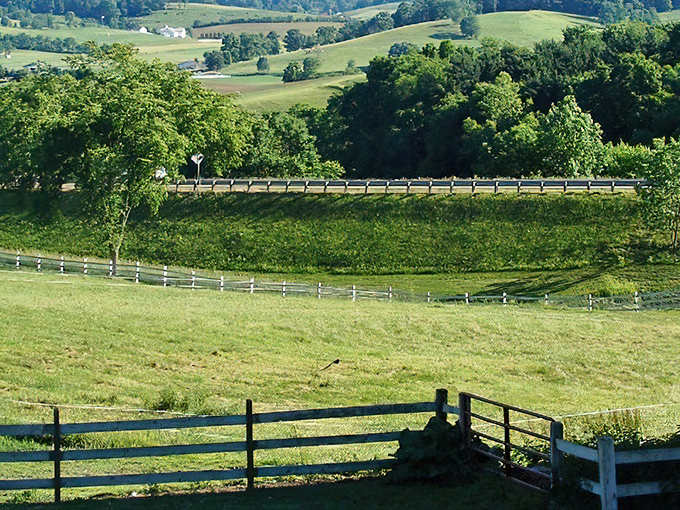 Nature's geometry lesson. White fences trace the contours of green pastures, creating a landscape that's both functional and breathtakingly beautiful.