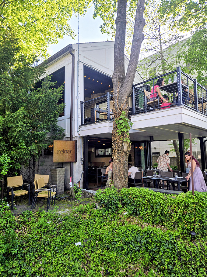 Nektar Wine Bar elevates casual dining to an art form with riverside views and sophisticated flavors.