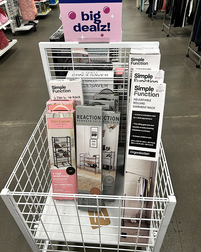 Organization solutions from Simple Function to Kenneth Cole prove that getting your life together doesn't require emptying your bank account.