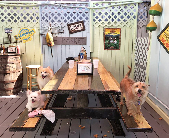 Even the dogs know where the good stuff is. This outdoor seating area combines Key West charm with seafood satisfaction.