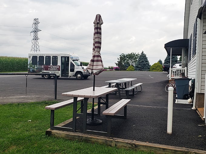 The humble picnic area invites you to linger just a little longer. After all, pretzels taste better with a side of Pennsylvania countryside.