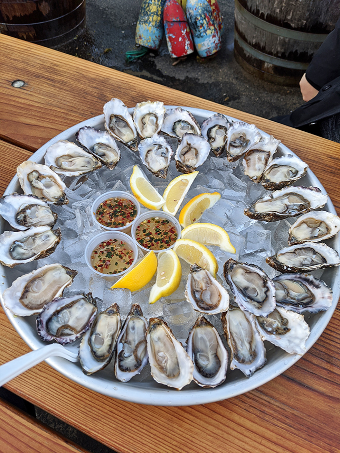 A platter of oysters arranged like a clock face, except every hour is happy hour when seafood is this pristine.