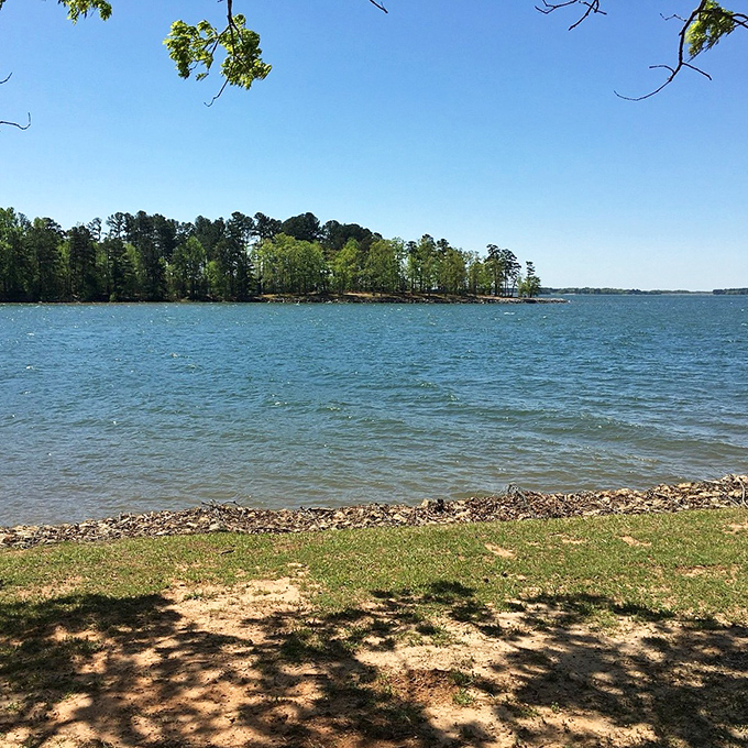 Lake Hartwell's pristine shoreline stretches toward the horizon, offering a front-row seat to nature's best work&mdash;no ticket required.
