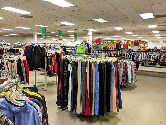 The pants section alone could outfit a small nation. From designer denim to comfortable classics, every pair holds potential for its next chapter.