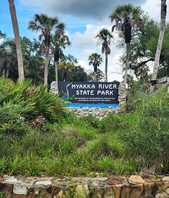 The entrance sign promises adventure while palm trees stand guard. Florida's version of "Abandon all stress, ye who enter here." 