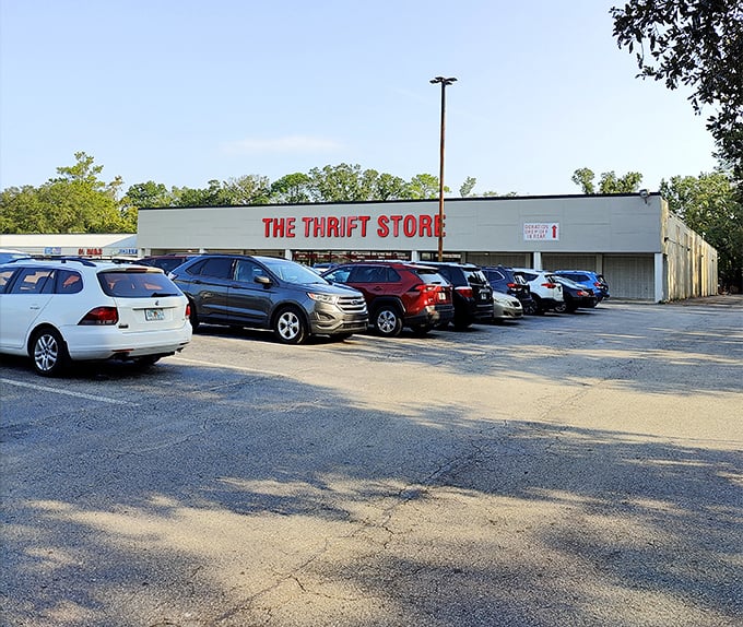The parking lot: first hint that you've found a local institution. Those Florida license plates represent treasure hunters from across Jacksonville, united in the thrill of the find. 