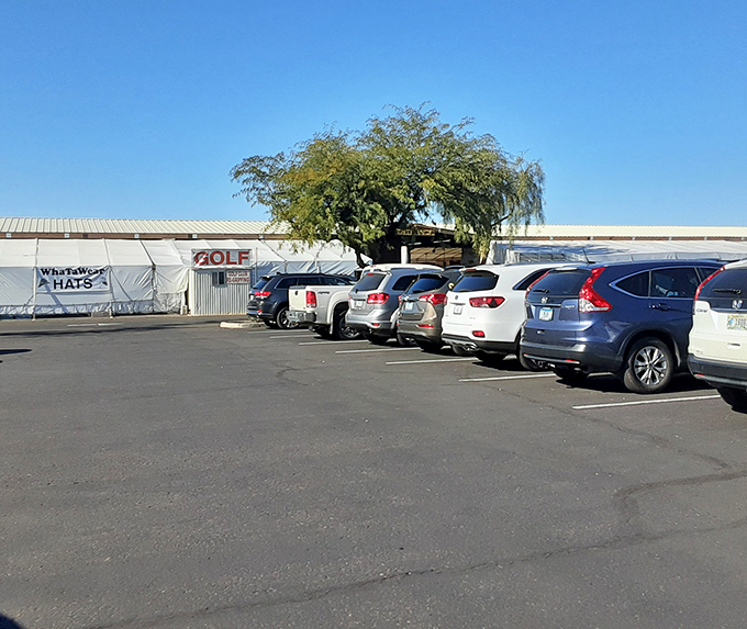 The parking lot&mdash;where adventures begin and car trunks prepare to be filled with treasures you absolutely "needed" for your home.