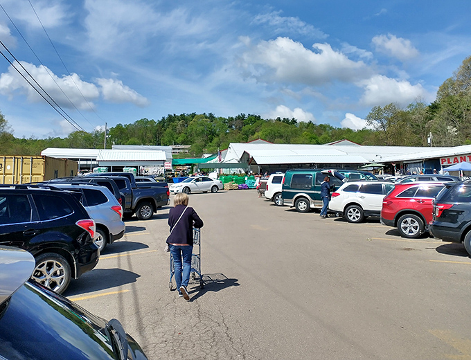 The bustling parking lot tells the story&mdash;locals know where the deals are. Each cart heading to a vehicle carries potential home improvements and pocket-friendly prices.