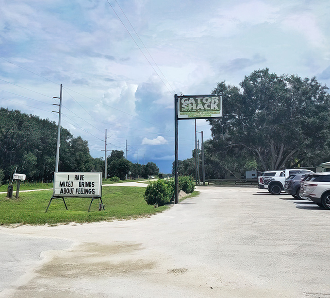 The roadside sign promising "mixed drinks about feelings" might be the most honest advertising in the restaurant business.
